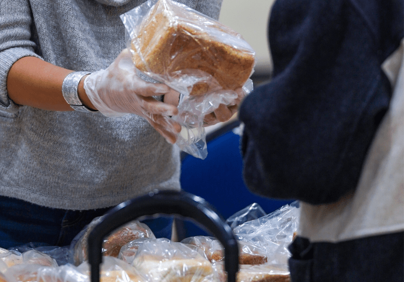 Help us Thrive! New Volunteer Opportunities