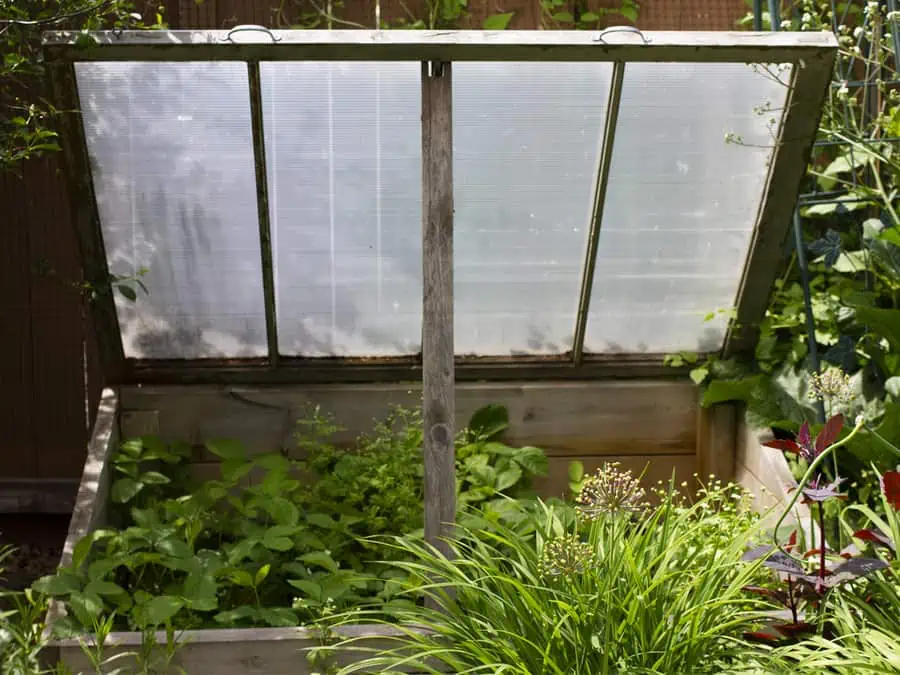 It’s chilly out there!